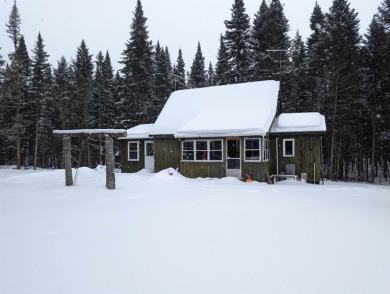 Back Lake Homes for Sale Real Estate Lakefront Property NH