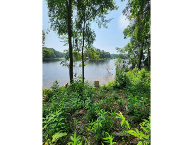 Lake Robinson - Chesterfield / Darlington Homes for Sale Real Estate ...