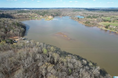 Logan Martin Lake Homes for Sale Real Estate Lakefront Property AL,3