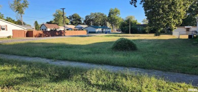 Rend Lake Homes for Sale Real Estate Lakefront Property IL