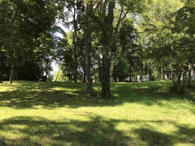 Jimmerson Lake Homes for Sale Real Estate Lakefront Property IN