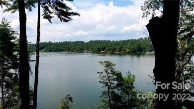 Lake Rhodhiss Homes for Sale Real Estate Lakefront Property NC