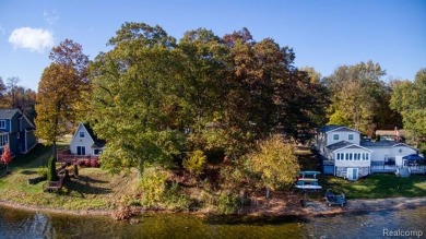 Clark Lake Homes for Sale Real Estate Lakefront Property MI