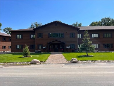 Leech Lake Homes for Sale Real Estate Lakefront Property MN