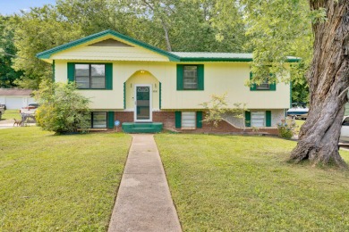 Chickamauga Lake Homes for Sale Real Estate Lakefront Property TN,3