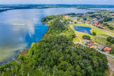Lake Beauclair Homes for Sale Real Estate Lakefront Property FL