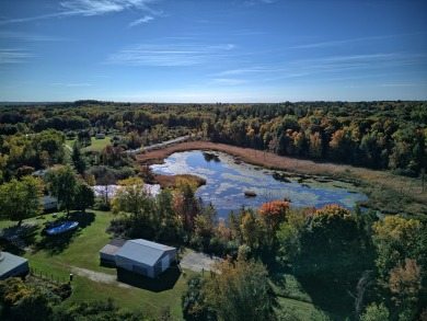 Eight Point Lake Homes for Sale Real Estate Lakefront Property MI