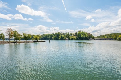 Chickamauga Lake Homes for Sale Real Estate Lakefront Property TN