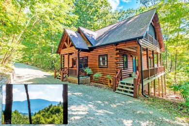 Lake Blue Ridge Homes for Sale Real Estate Lakefront Property GA,2