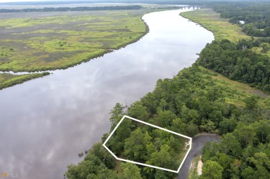 Satilla River Homes for Sale Real Estate Lakefront Property GA