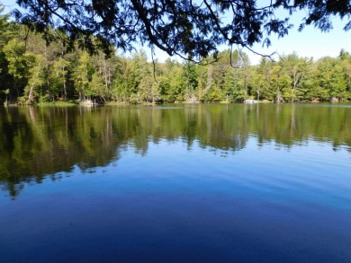 Lake Alice Homes for Sale Real Estate Lakefront Property WI