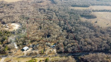 Callender Lake Homes for Sale Real Estate Lakefront Property TX