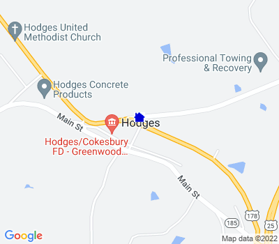 335 Terrapin Pt, Hodges, SC 29653, 3182695