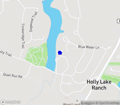 167 Blue Water Point, Holly Lake Ranch, TX 75765, 3738462